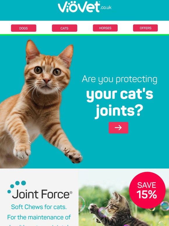 Viovet: Are you protecting your cat's joints? | Milled