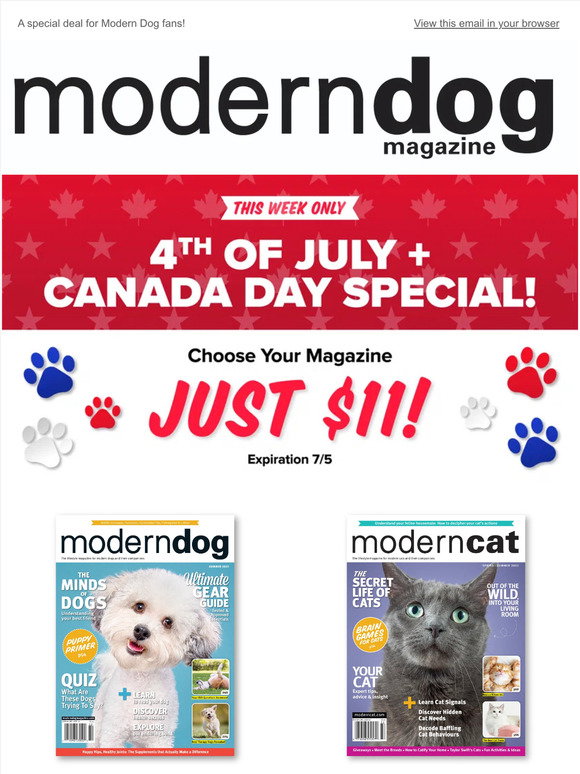 Modern Dog-magazine: Which Will You Choose? | Milled