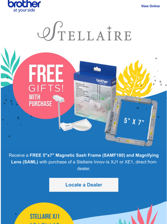 Brother: A Stellar Summer with Stellaire! | Milled