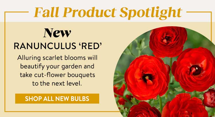 Burpee: Plant fall bulbs for spring blooms 🌷 | Milled