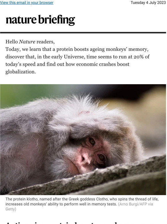 Nature Journal: Longevity protein boosts ageing monkeys’ memories | Milled