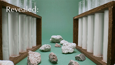 AlgaeCal: The Top 10 Types of Calcium | Milled