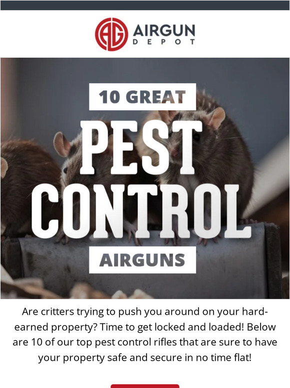 Airgun Depot: The 10 Best Pesting Airguns | Milled