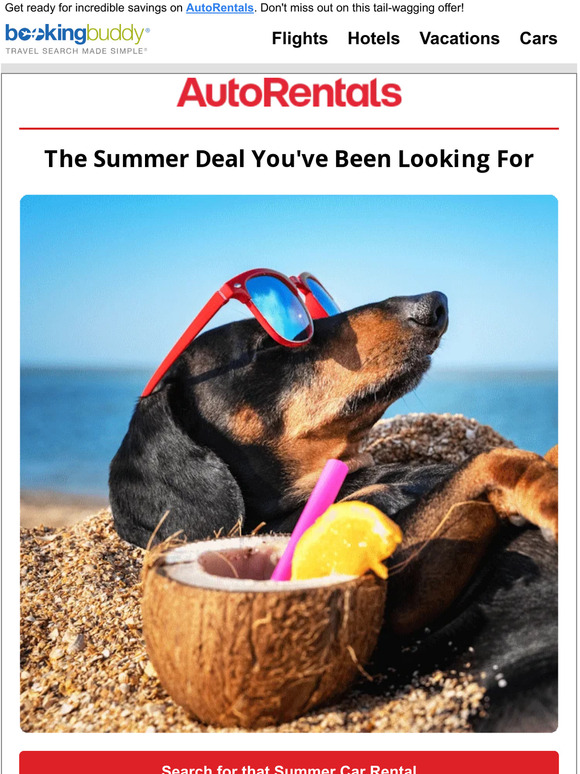 Booking Buddy: Relax and Fetch the Summer Car Rental Deal You've Been ...