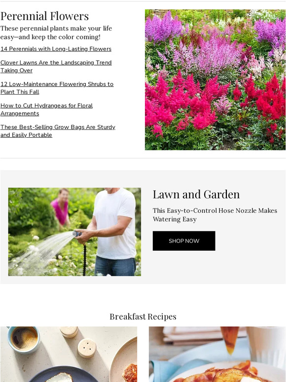 Martha Stewart: 14 Perennials with Long-Lasting Flowers | Milled