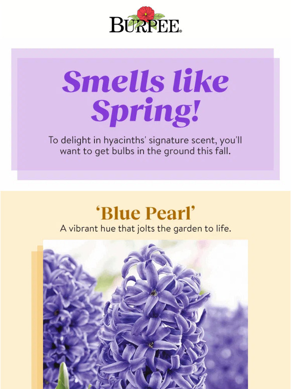 Burpee: Your garden smells so good! | Milled