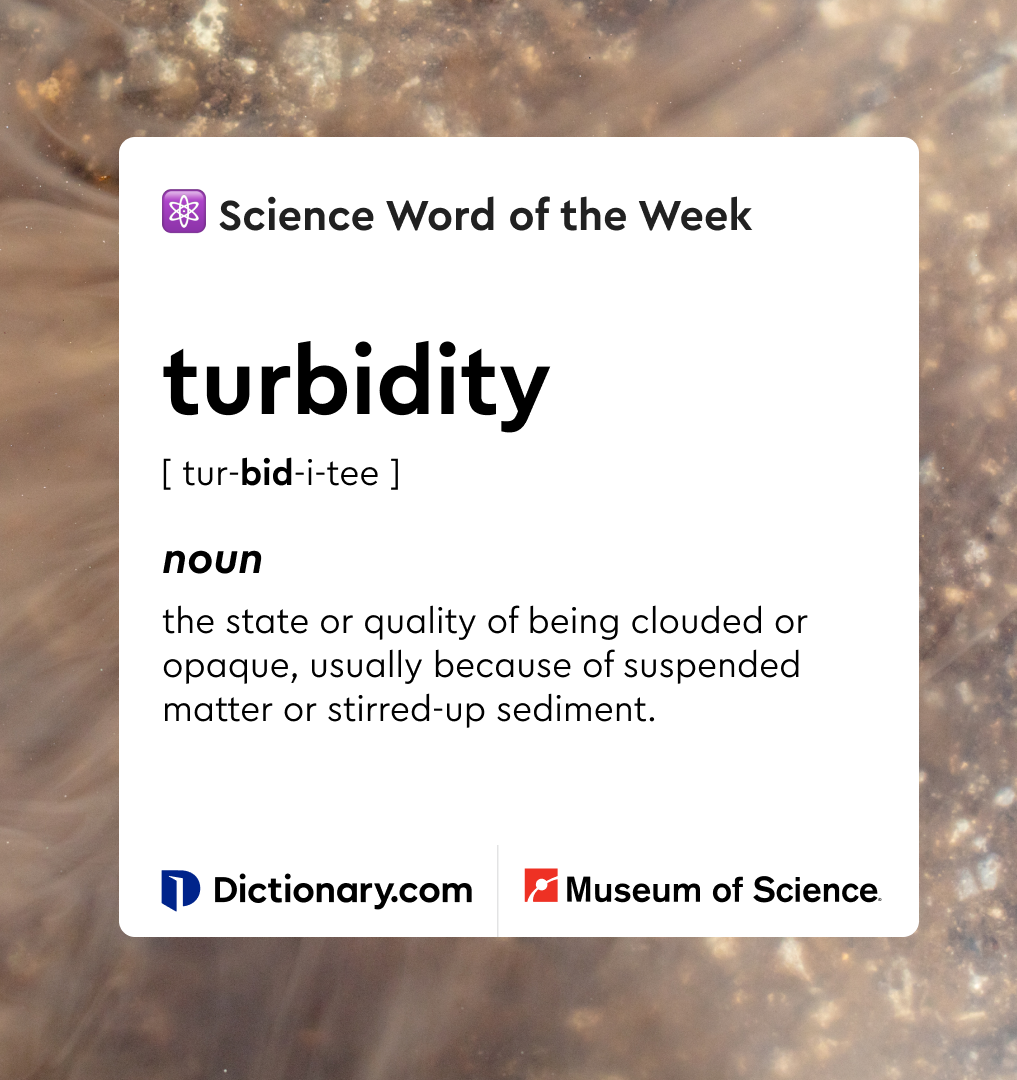 Dictionary.com: turbidity | Science Word Of The Week | Milled