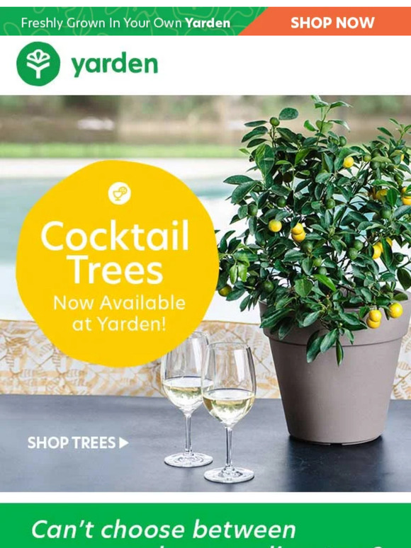 Citrus UA: Get Ready to Shake and Stir- Cocktail Trees Now Available ...