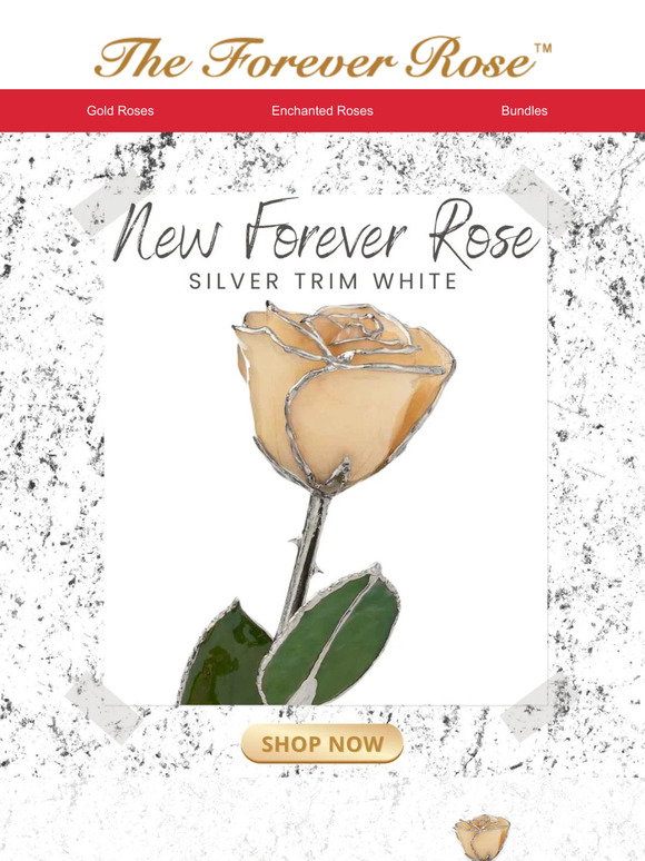 The Forever Rose: A New Forever Rose Just For You! | Milled