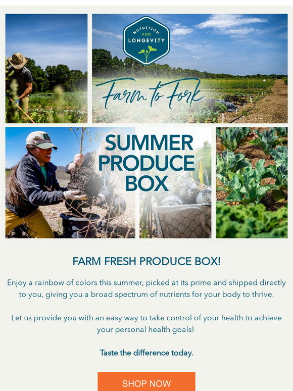 Nutrition for Longevity: Produce from the Farm to Your Doorstep | Milled