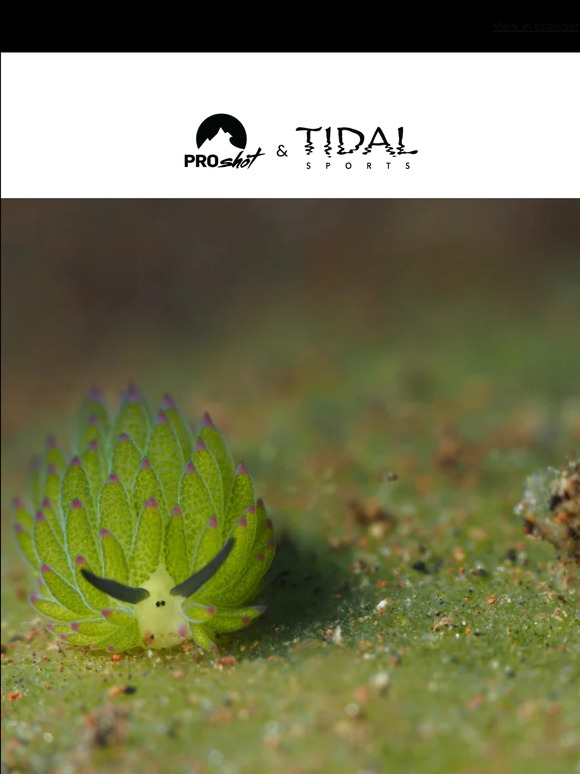 ProShot Case: Master the Art of Photographing Marine Life🦑 | Milled