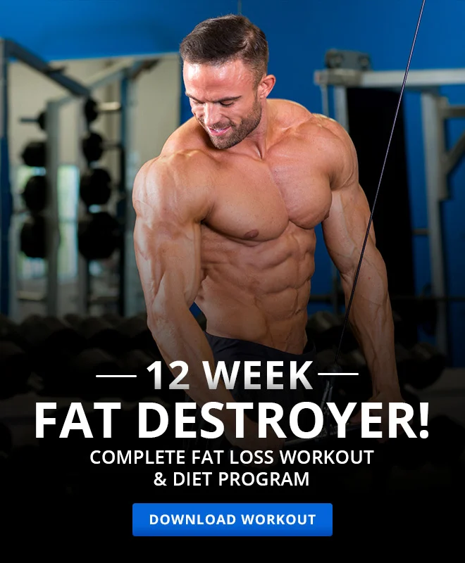 Muscle & Strength: Fat Destroyer: 12 Week Fat Burning Workout & Diet ...