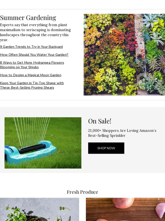 Martha Stewart: 9 Garden Trends to Try in Your Backyard | Milled