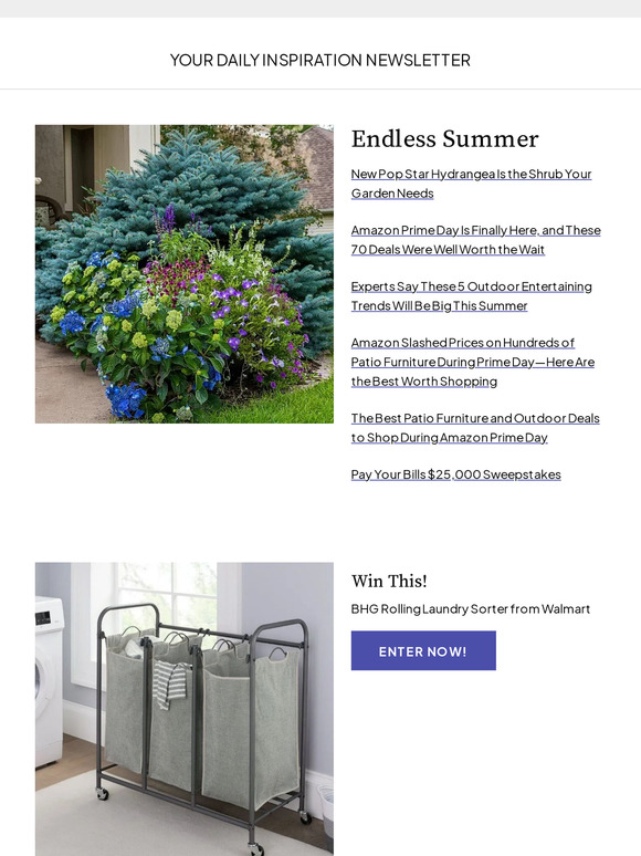 Better Homes and Gardens: New Pop Star Hydrangea Is the Shrub Your ...