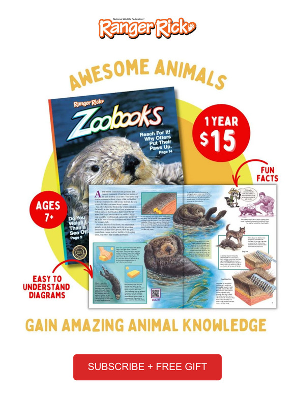 Zoobooks: Discover Ranger Rick Zoobooks! | Milled