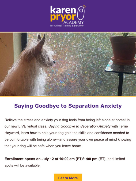 Karen Pryor Clicker Training: Saying Goodbye to Separation Anxiety | Milled