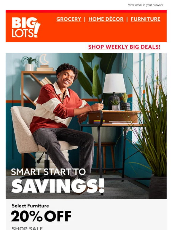 Big Lots: 20% OFF select furniture favorites! 👀 | Milled