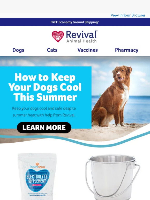 Revival Animal Health: Cool Your Dogs This Summer🐕 | Milled