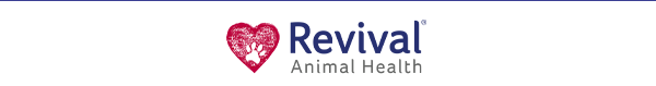 Revival Animal Health: Cool Your Dogs This Summer🐕 | Milled