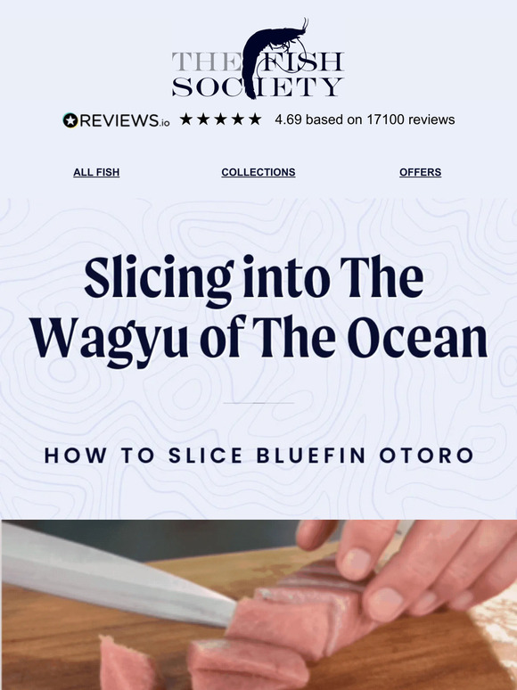 The Fish Society: Slicing into The Wagyu of The Ocean 🌊 | Milled