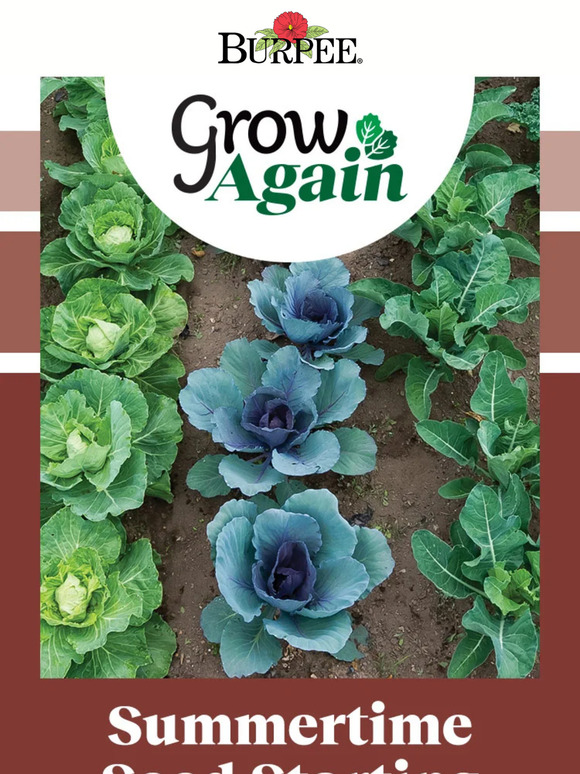 Burpee: Start seeds for fall—here's how! | Milled