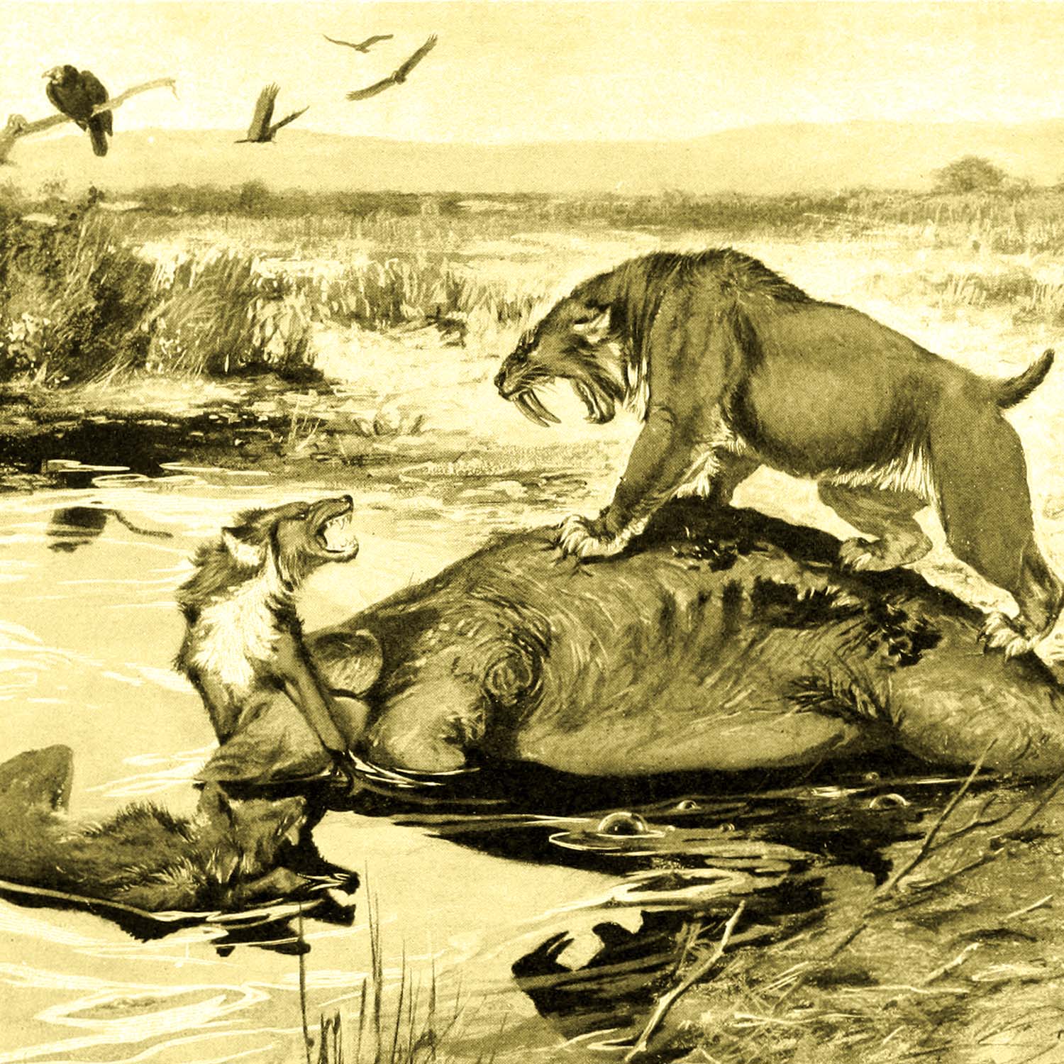Mini Museum LLC: Explore the La Brea Tar Pits! | Milled