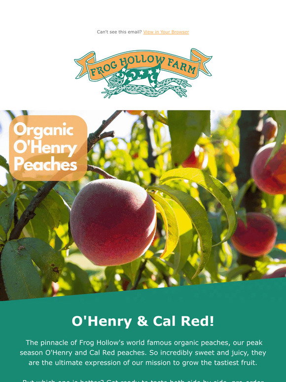 Frog Hollow Farm: O'Henry v. Cal Red. Almost Here! 🍑x🍑 | Milled