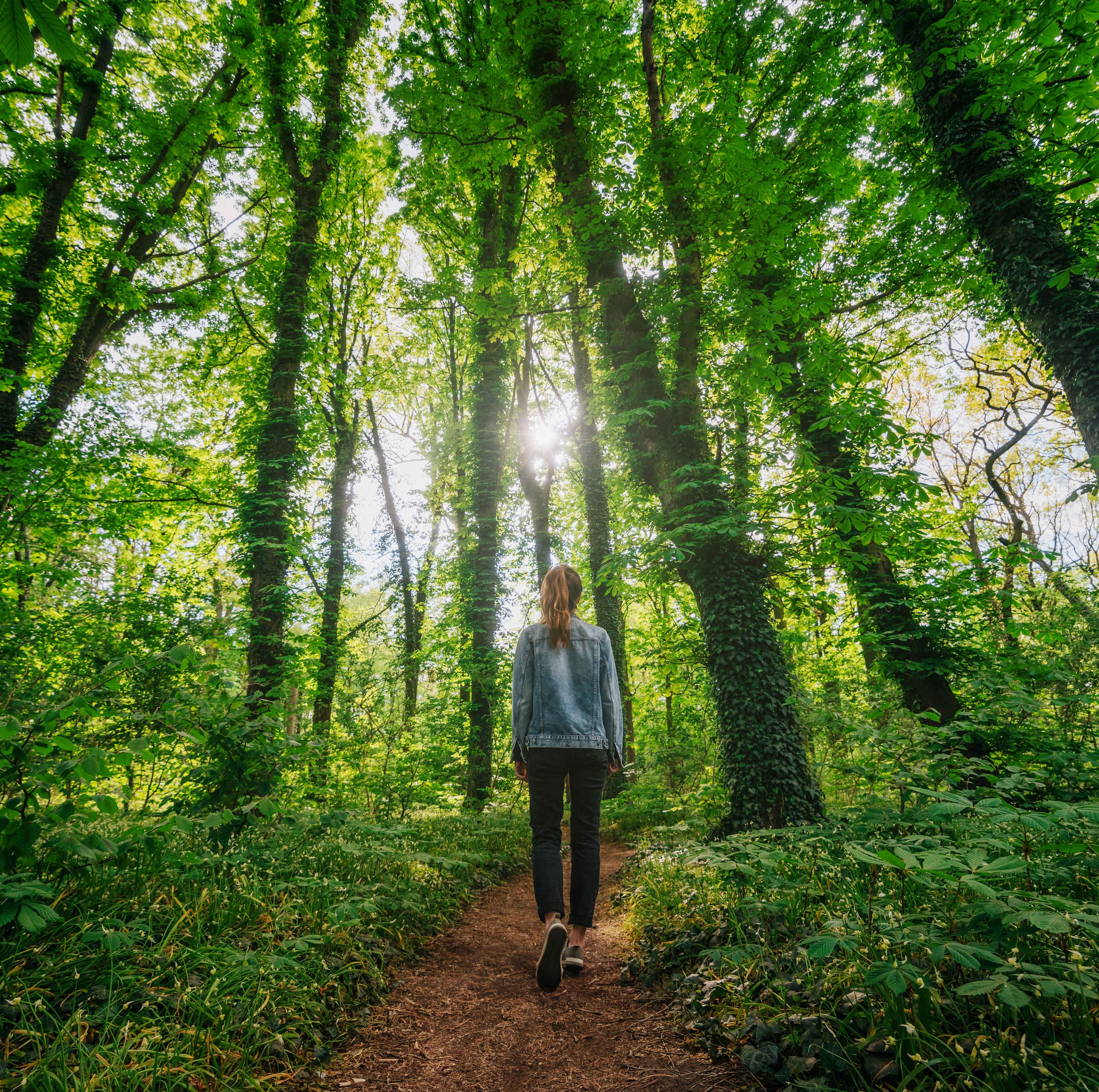 ELLE: What If Therapy Could Be a Walk in the Woods? | Milled