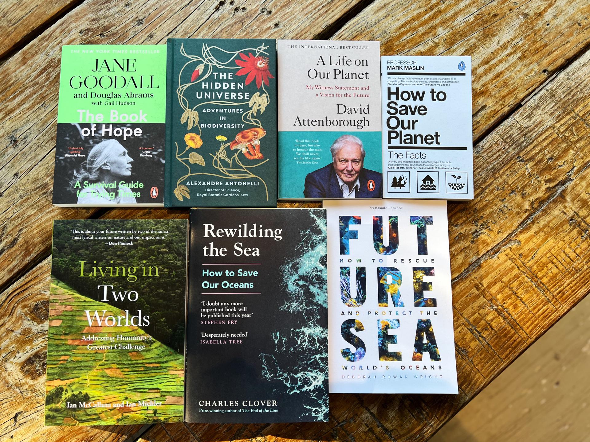 30 South: Explore Our Inspiring Book Collection! | Milled