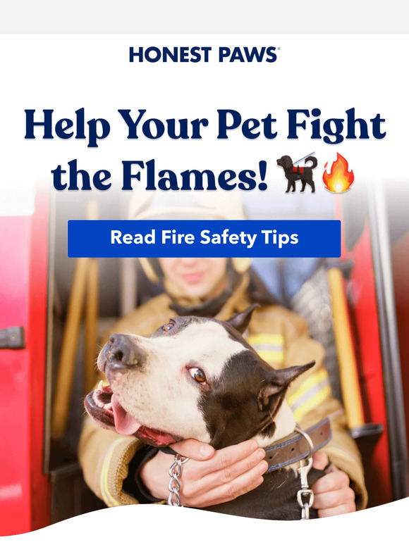 Honest Paws: 🔥Paws and prevent: Pet fire safety tips you need to know ...