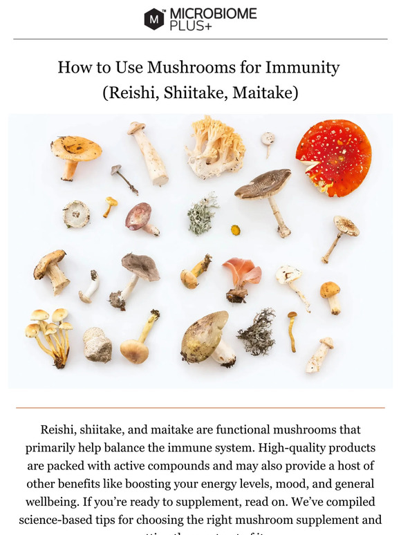 Microbiome Plus: How to Use Mushrooms for Immunity ️ | Milled