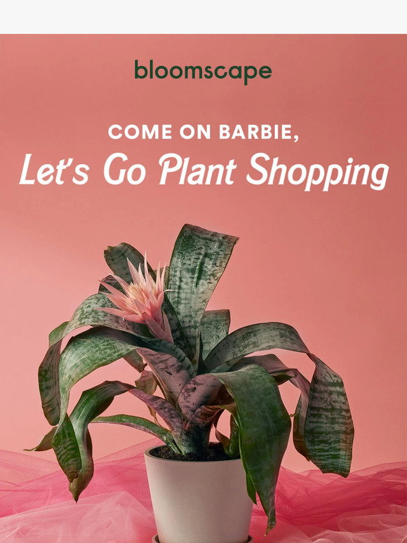 Bloomscape: 💖 Come on Barbie, Let's Go Plant Shopping! 💖 | Milled