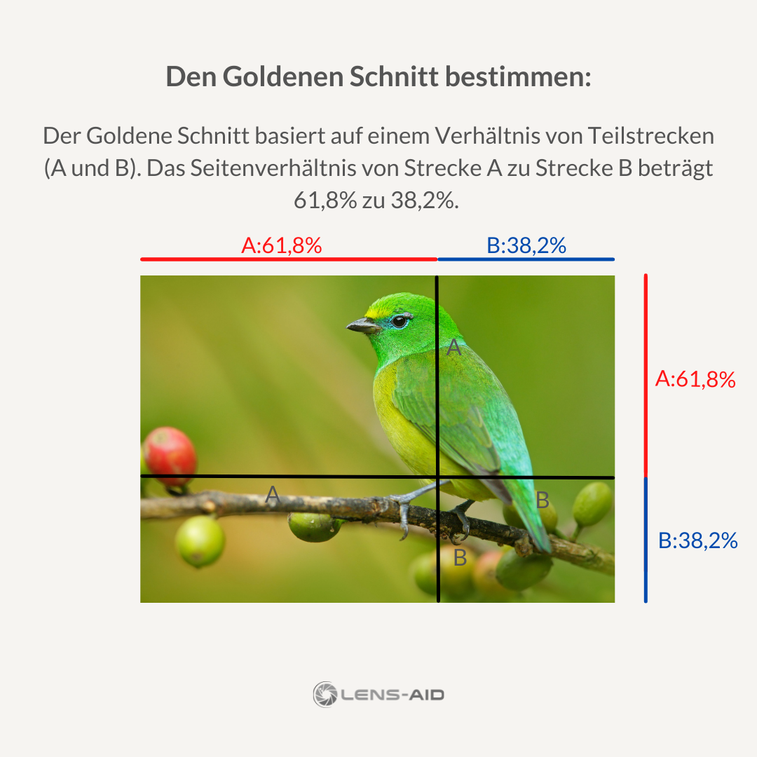 Lens-Aid: Wie der Goldene Schnitt deine Bilder besser macht 🥰 | Milled