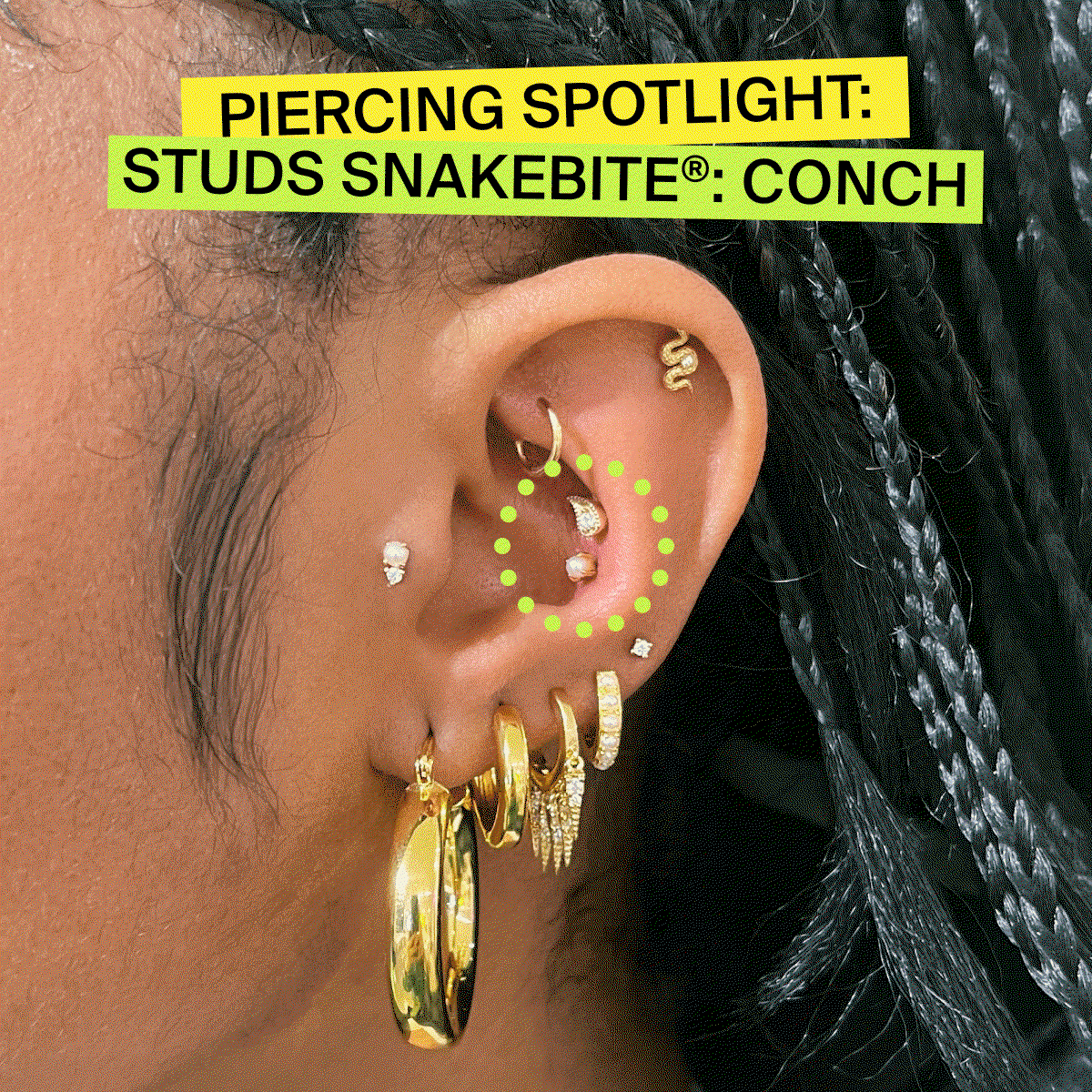 Studs: Piercing Spotlight 🔦 Studs Snakebite®: Conch👂 | Milled