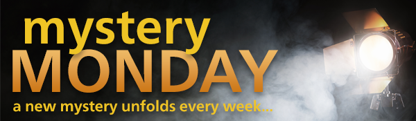 SAP Press: Introducing our new weekly deal, Mystery Monday! | Milled