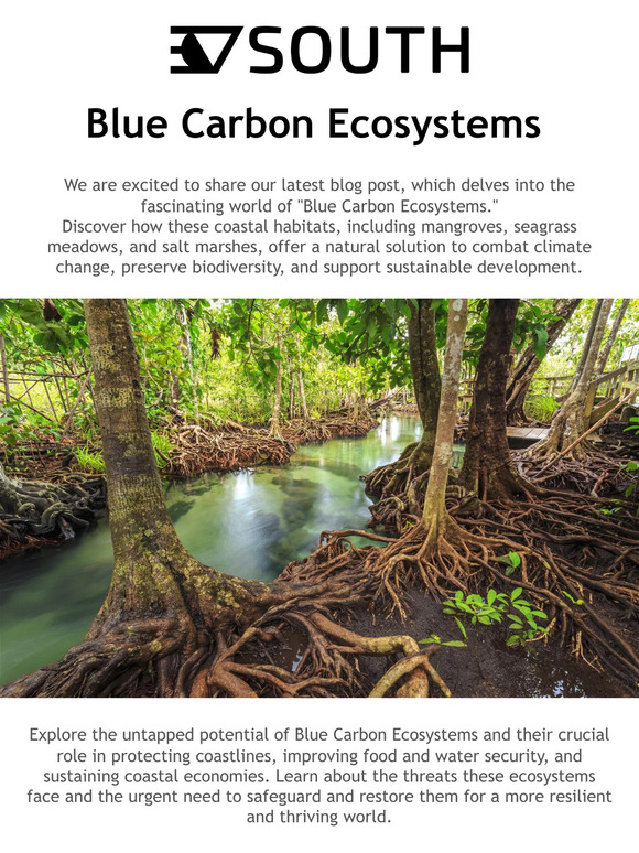 30 South: The Vital Role of Blue Carbon Ecosystems | Milled
