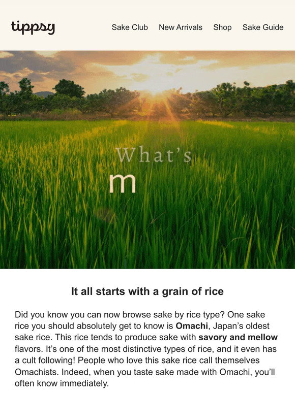 Tippsy: Let’s talk about Omachi rice | Milled