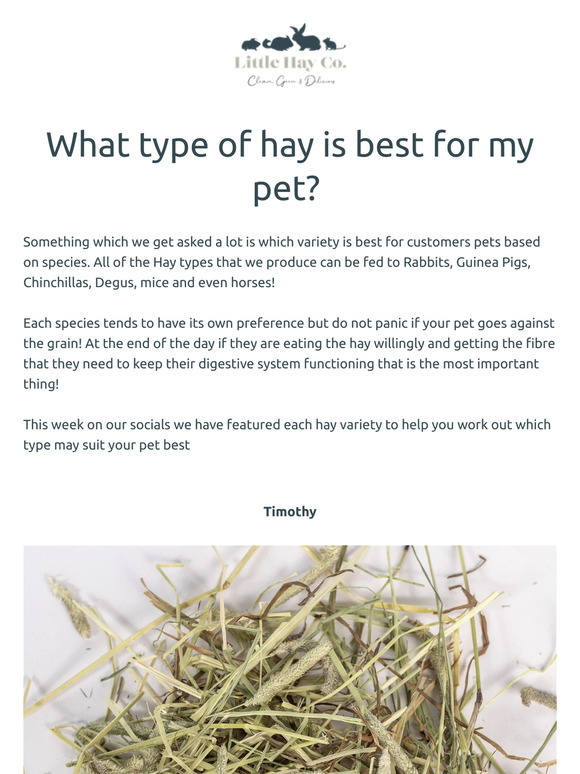Little Hay Co.: The difference between different hay varieties | Milled