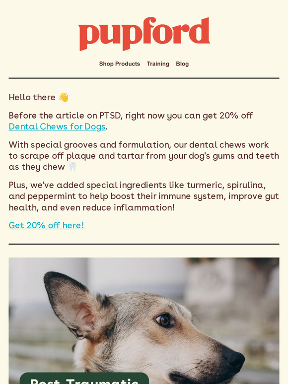 Pupford: [article] Post-Traumatic Stress Disorder in Dogs | Milled