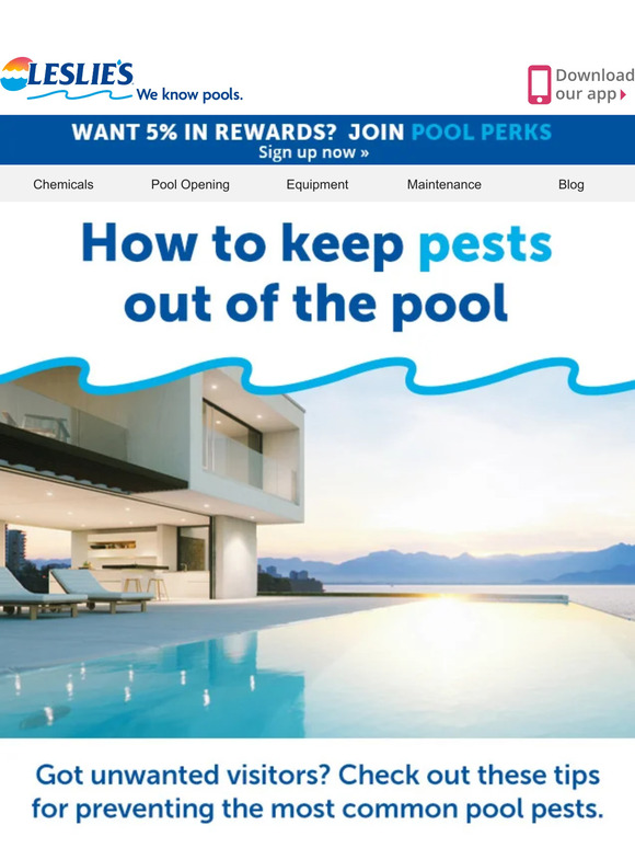 Leslie's Pool Supply: 🦟 Got Creepy-Crawlies in Your Pool? [Read Now ...