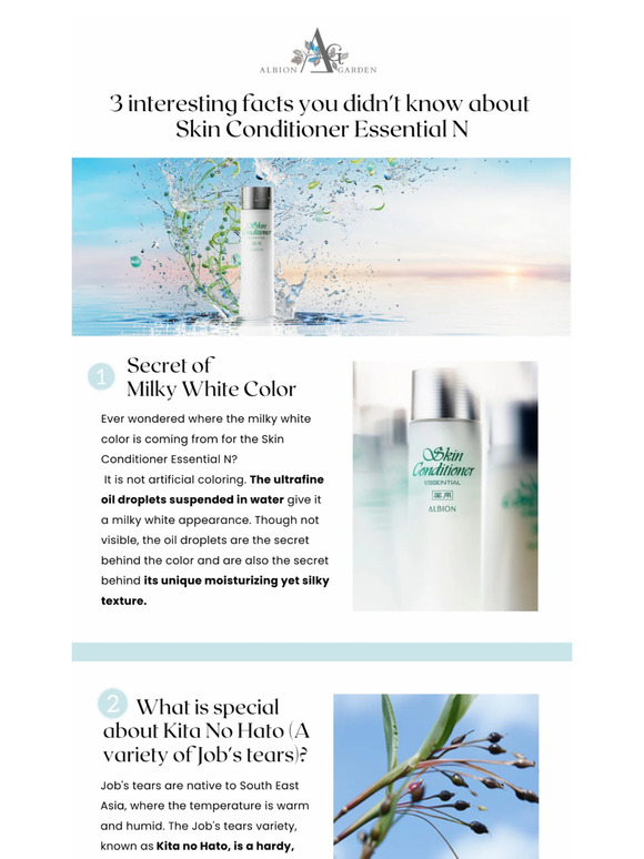 Albion: 3 Fun Facts You Didn't Know About SkiCon | Milled