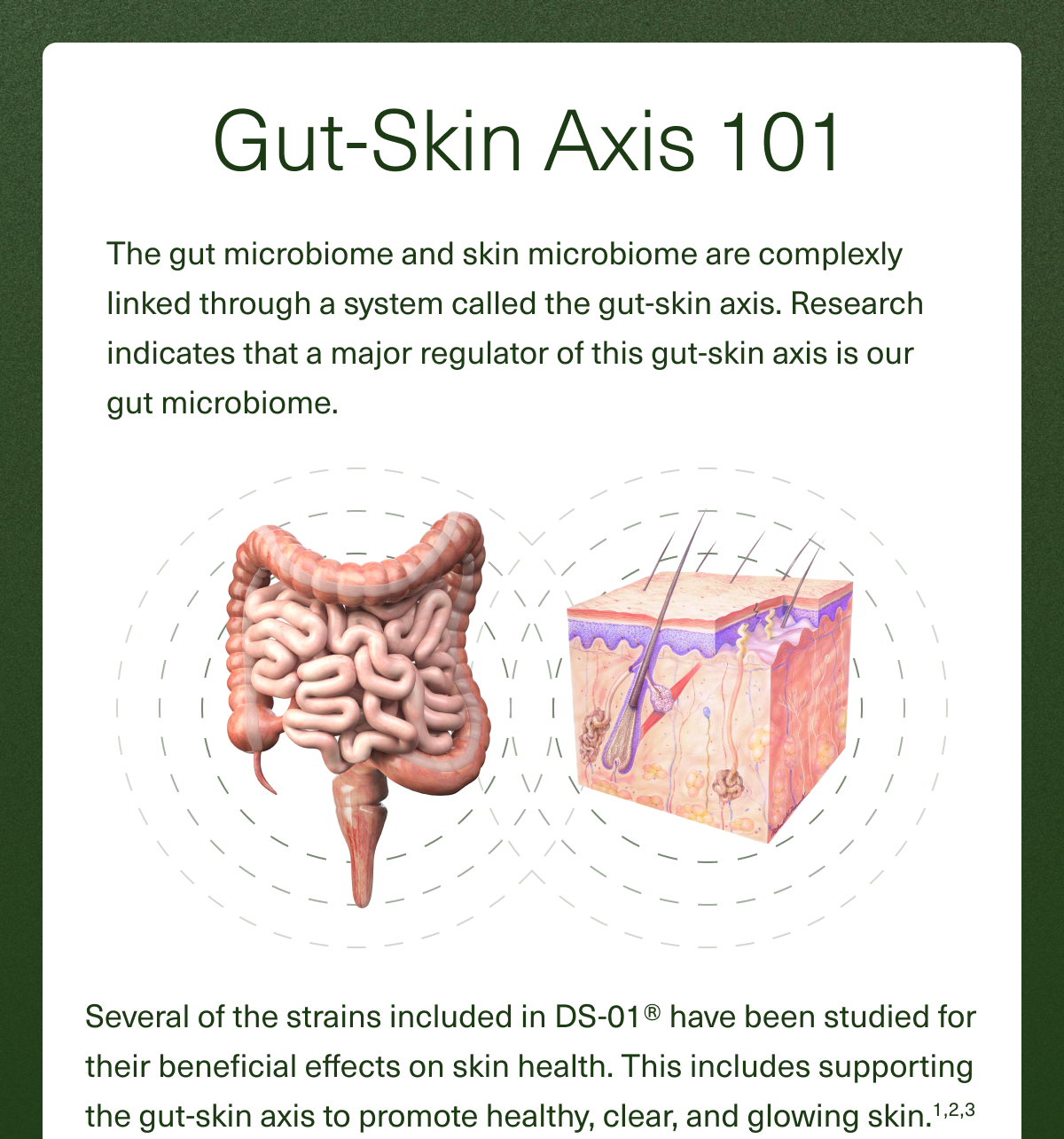 Seed: Did you know gut health affects skin health? | Milled