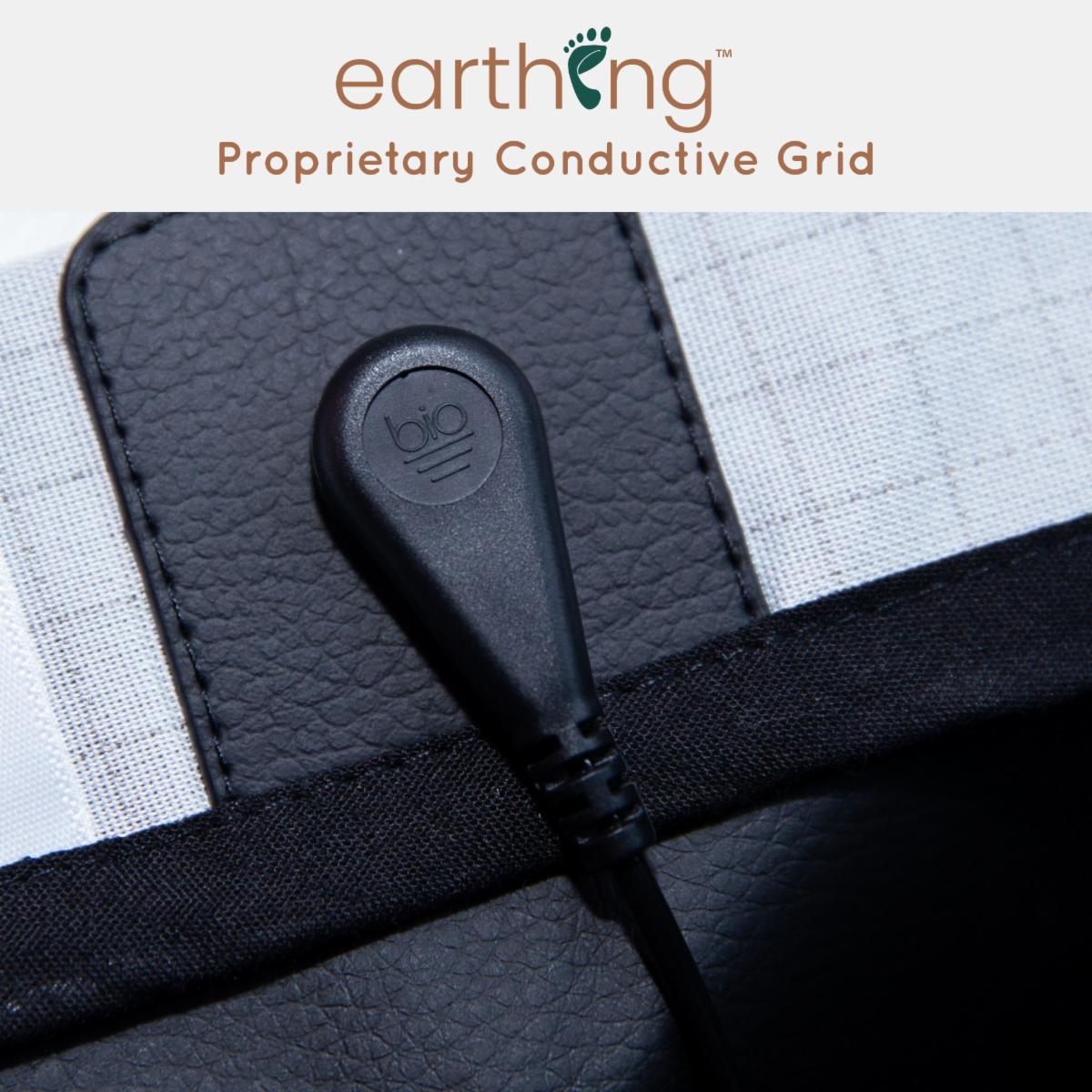 Earthing: Earthing is the Authentic and Original Indoor Grounding ...