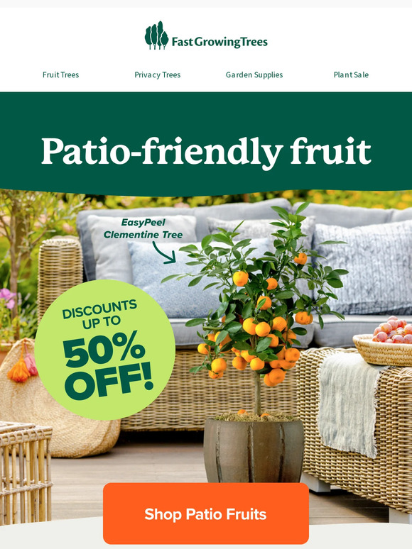 Fast Growing Trees: These patio fruits will blow your mind | Milled