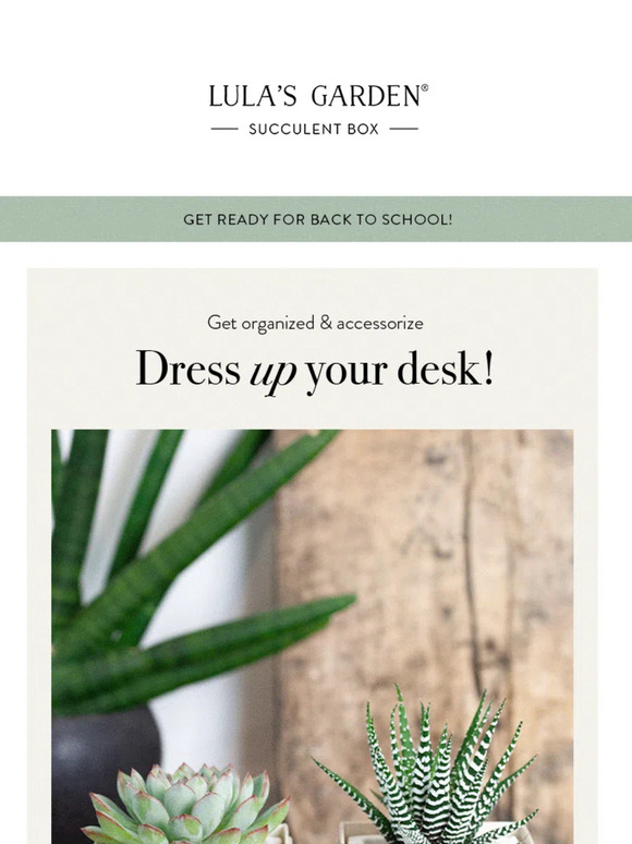 Lula's Garden: Dress Up Your Desk With Plants! 🌱 | Milled