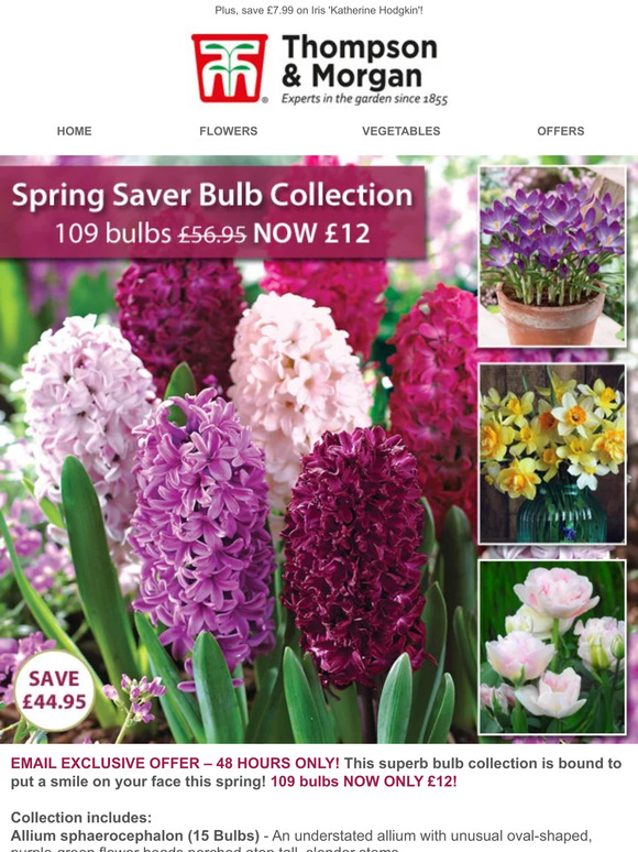 Thompson & Morgan: £56 Spring Bulb Bundle NOW £12! | Milled