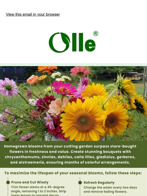 Olle: How to Cut a Bouquet of Flowers to Make Them Last🌷🌻🌹 | Milled