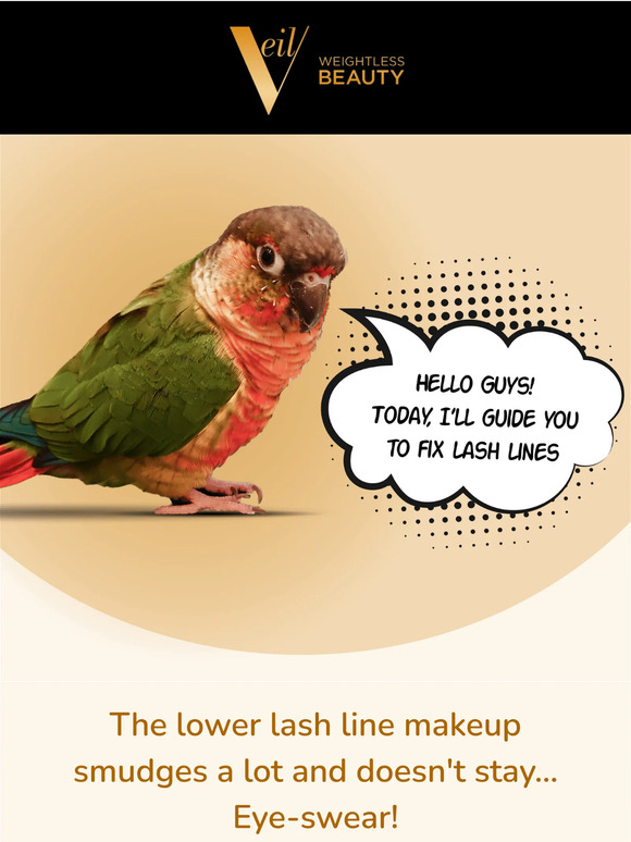 Veil Cosmetics: Guide to stunning lash lines inside! 💌 | Milled