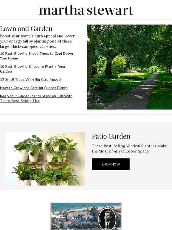 Martha Stewart: 10 Fast-Growing Shade Trees to Cool Down Your Home | Milled