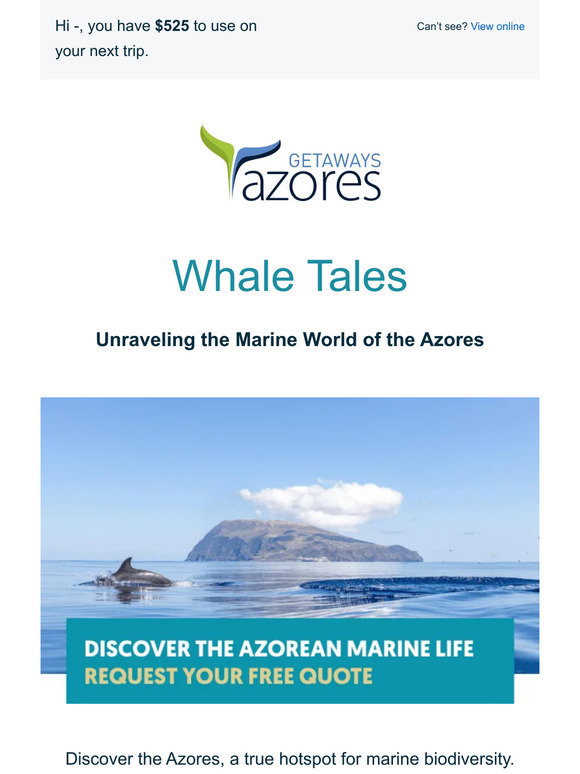 Azores Getaways: -, Come Discover the Azorean Marine Life 🐳 | Milled
